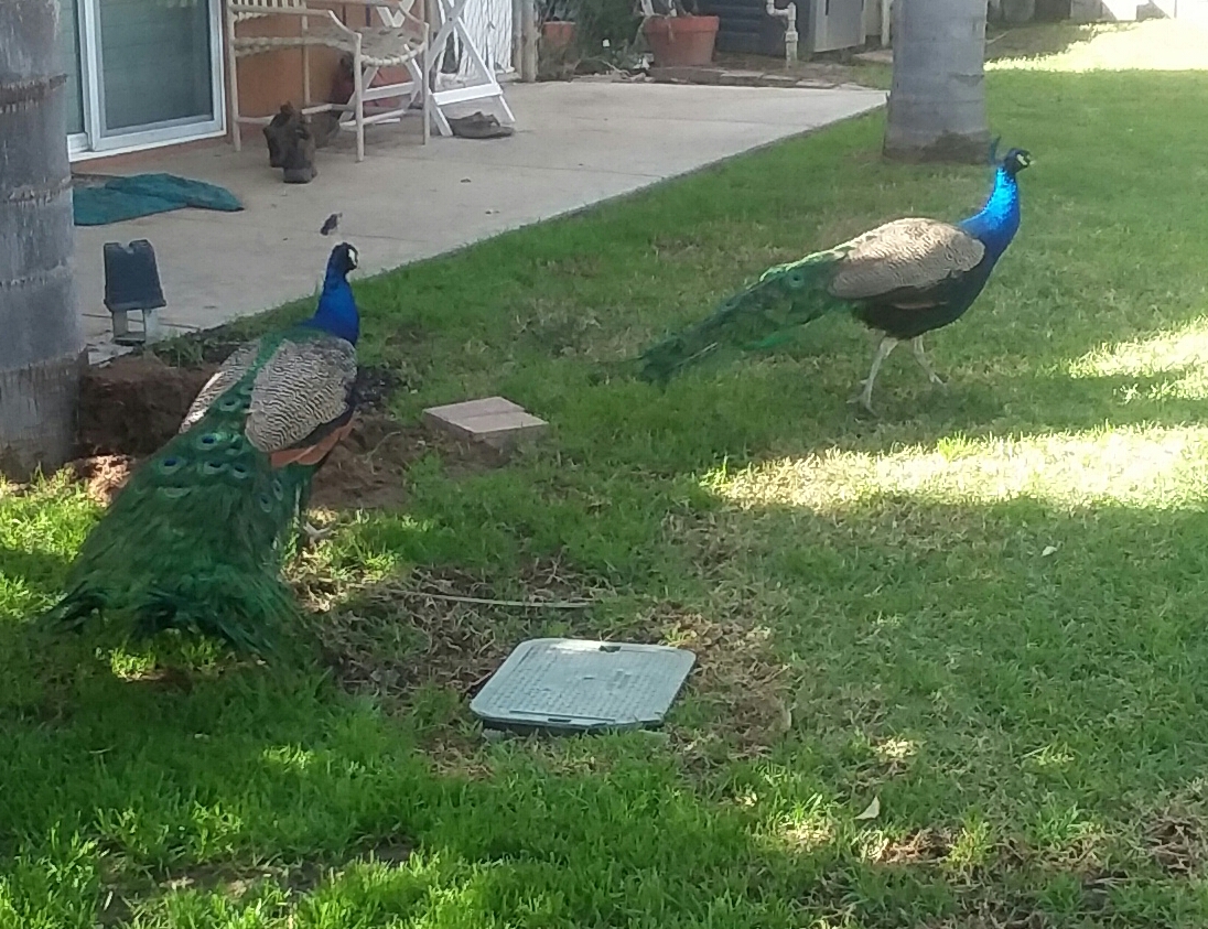 Meeting Elden Kidd (Weekend Open Thread)